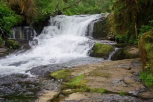 The Ultimate Guide to Oregon Waterfall Elopement Spots | tulewalks.com