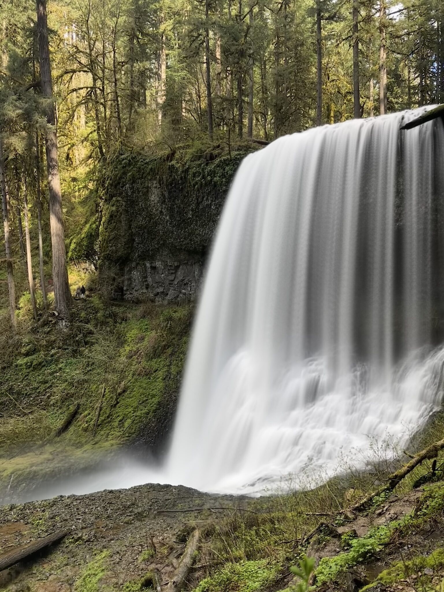 The Ultimate Guide to Oregon Waterfall Elopement Spots | tulewalks.com